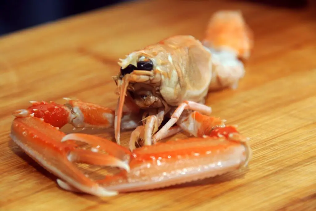 6 Fish Similar to Crayfish - NatureNibble